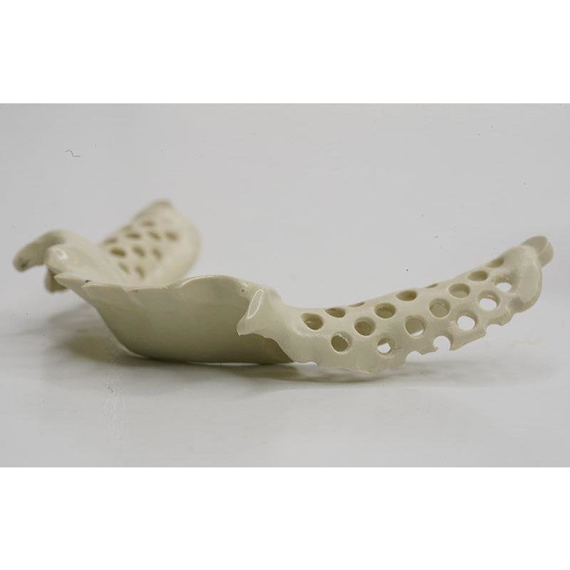 Acetal Frame (Mandible)– ROE Dental Laboratory